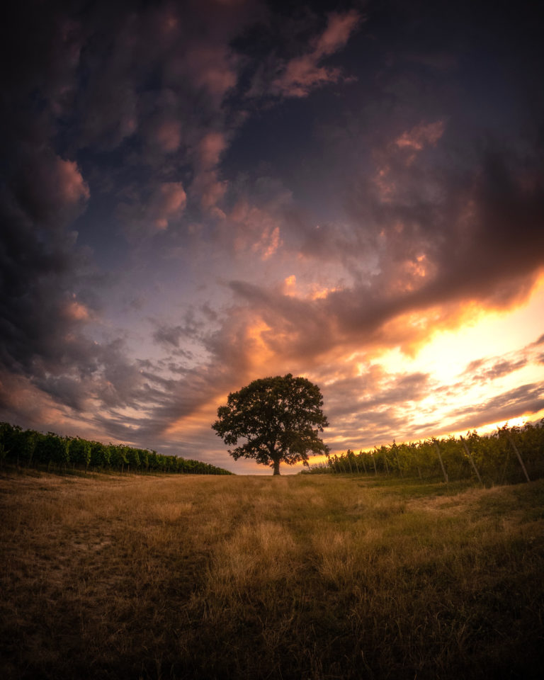 3 Things To Know When The Ground Shifts Under Your Feet | Maria Sirois ...